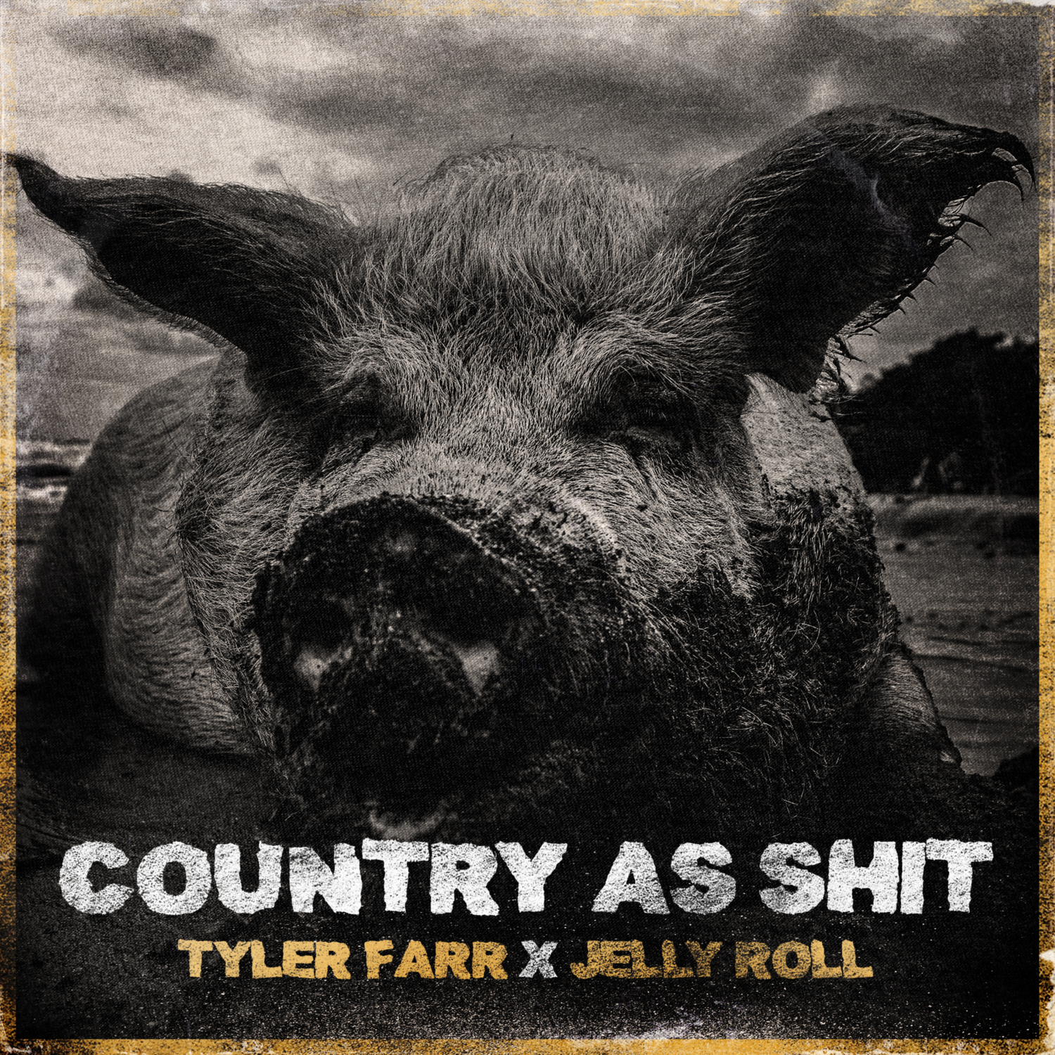 Tyler Farr Joins Forces with Jelly Roll New Song Country As Shit